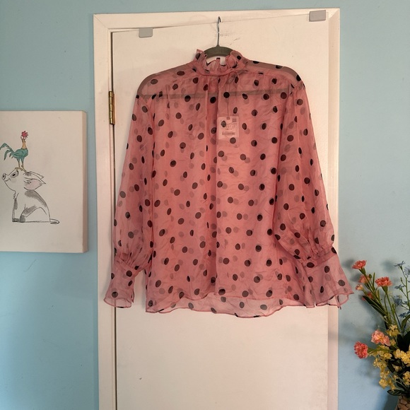 Zara | Tops | Nwt Zara Sheer Polka Dot Blouse | Poshmark